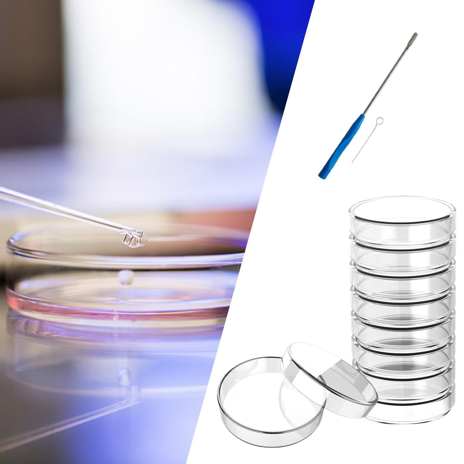 10x High Borosilicate Glass Petri Dishes with Lids Culture Dishes Easy ...