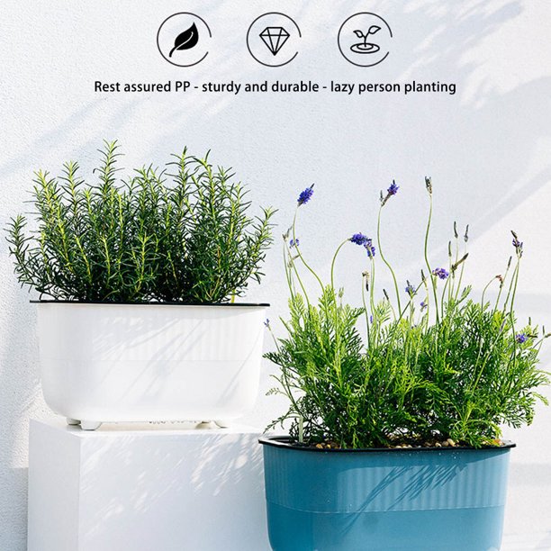 thinsony Rectangular Flowerpot Absorbing Water Vegetable Pots Plant ...