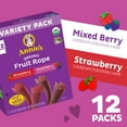 Annie's Organic Fruit Rope OIF8 Variety Pack, Strawberry and Mixed ...