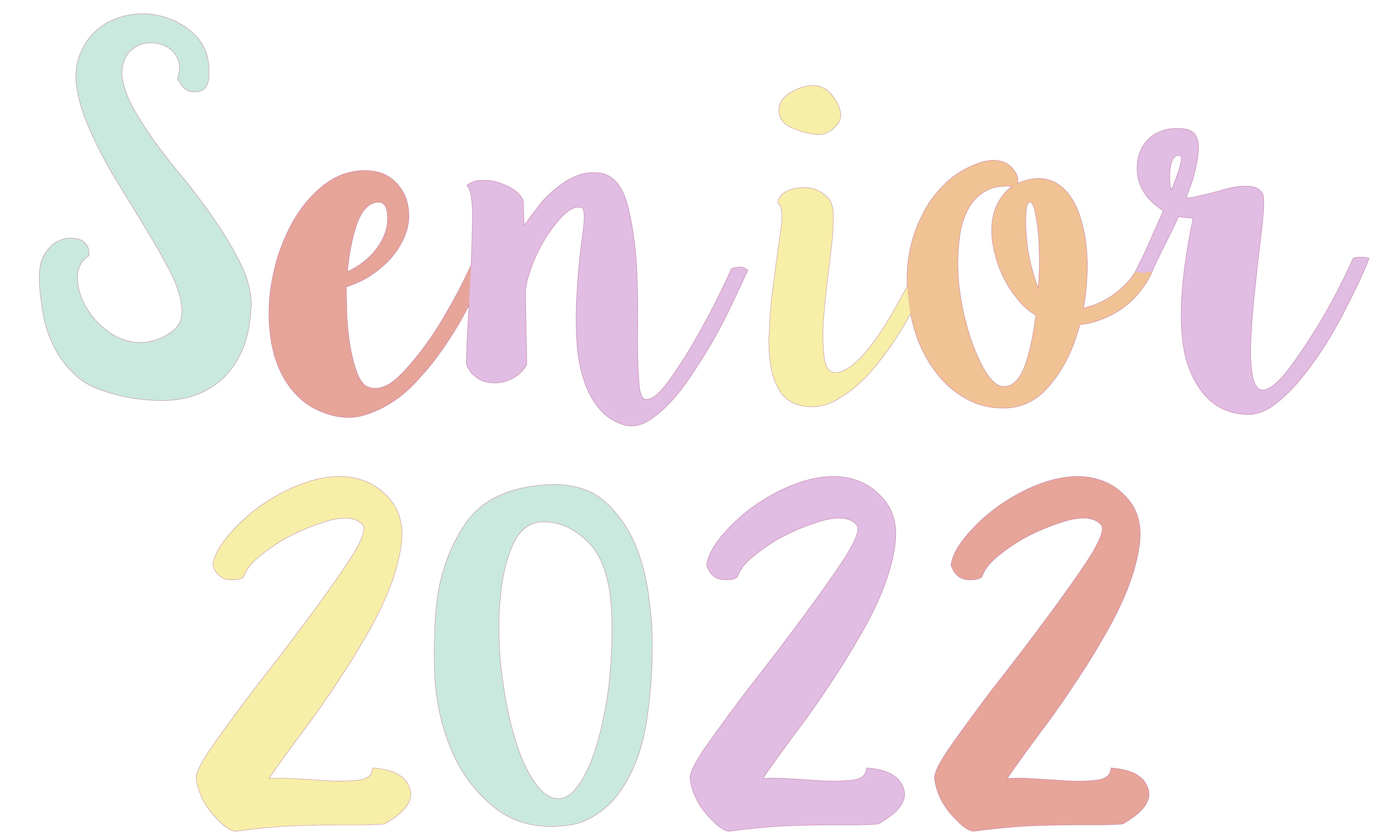 Removable Multicolored 2022 Senior Lettering Art 19" x 30" Vinyl Home ...