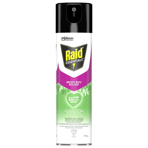 Raid Essentials Multi-Bug Insect Killer Spray, For Indoor Use, 350g ...