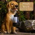 WONDER GARDEN Solar Dog Statue, Outdoor Decor, Garden Animal Figurines ...