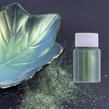 Partygee Color Shift Pigment Powder 10 Colors Pearl Mica Powder 0.35oz ...