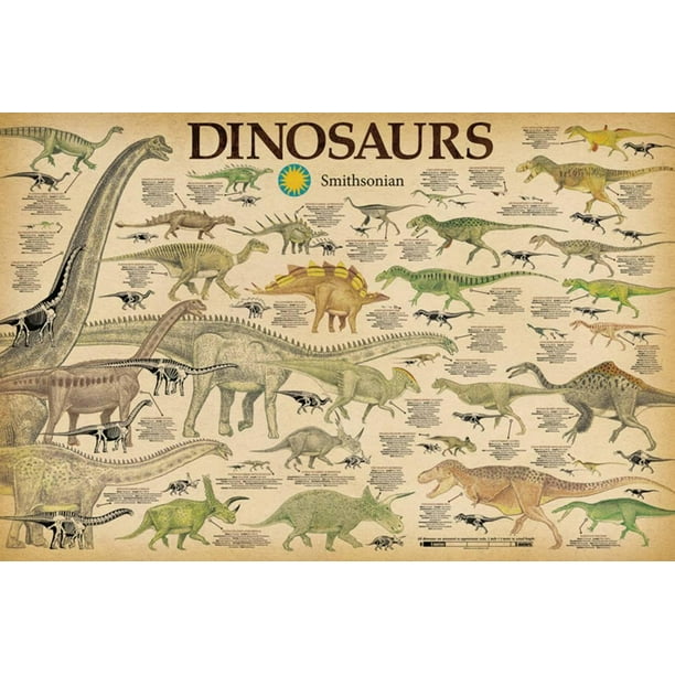 Smithsonian Dinosaurs Info Chart Poster 36x24 Sold by Art.Com - Walmart.com