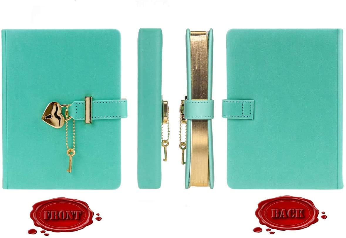 Diary With Lock Back