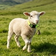 Adjustable Nylon Livestock Collar With For Goat Sheep Cattle Horse Farm ...