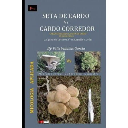Seta de Cardo Vs Cardo Corredor: black and white. Crear "setales" de la ...