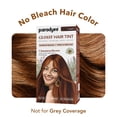 Paradyes No Bleach Cinnamon Brown Glossy Hair Tint - Walmart.com