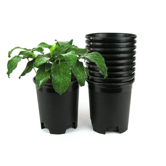 Cotta Planters 1 Gallon Nursery Pots 50-Pack 6 inch Wholesale Black ...