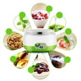 DENEST 1L Automatic Temperature Control Yogurt Maker, Stainless Steel ...