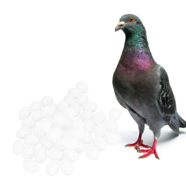 Induced Fake Eggs, Simulation 50PCS Hatching Induced Eggs, Lifelike ...