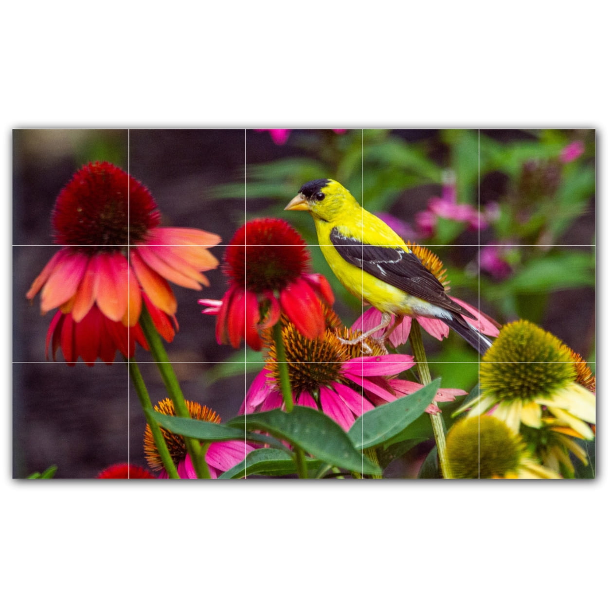 Picture-Tiles.com: Bird Ceramic Tile Wall Mural WAL500159-53L. 40"W x ...