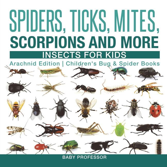 Spiders, Ticks, Mites, Scorpions and More Insects for Kids - Arachnid ...