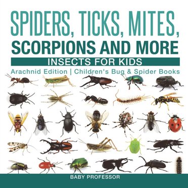 Some Bugs (Board Book) - Walmart.com