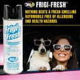 BG Frigi-Fresh Automotive Air Conditioning Cleaner and Freshener (5.5 ...