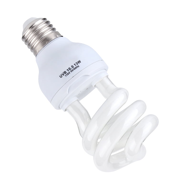 Light Bulb Creatures