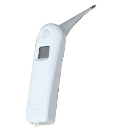 Animal Thermometer Fast Thermometer Animal Anal Thermometer Pig Horse ...