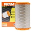 FRAM Extra Guard Air Filter, CA10118 for Select Dodge and Jeep Vehicles ...