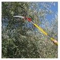 24ft Manual Pole Saw Set, Long Reach Tree Pruner - Walmart.com