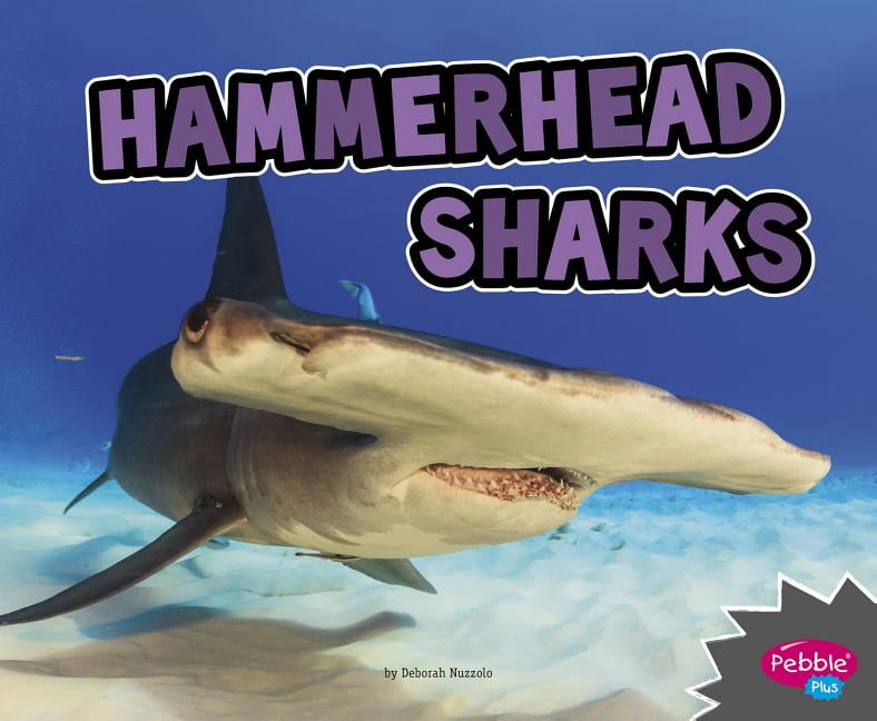 All about Sharks: Hammerhead Sharks (Paperback) - Walmart.com - Walmart.com