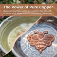 Copper Disc for Bird Bath Cleaning Outdoor Pond Water Treatment ...