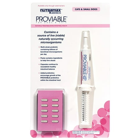 Proviable For Cats and Dogs Paste and Capsules Cats and Small Dogs ...