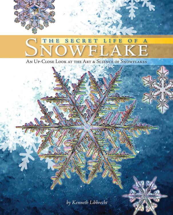 The Secret Life of a Snowflake : An Up-Close Look at the Art and ...