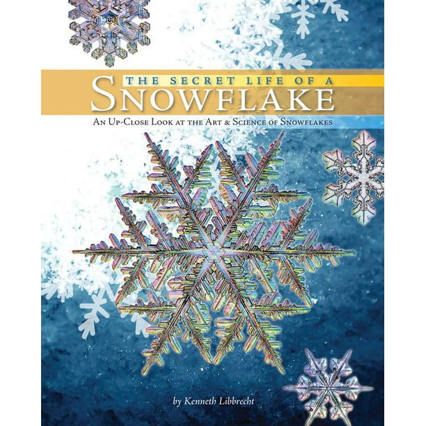 The Secret Life of a Snowflake : An Up-Close Look at the Art and ...