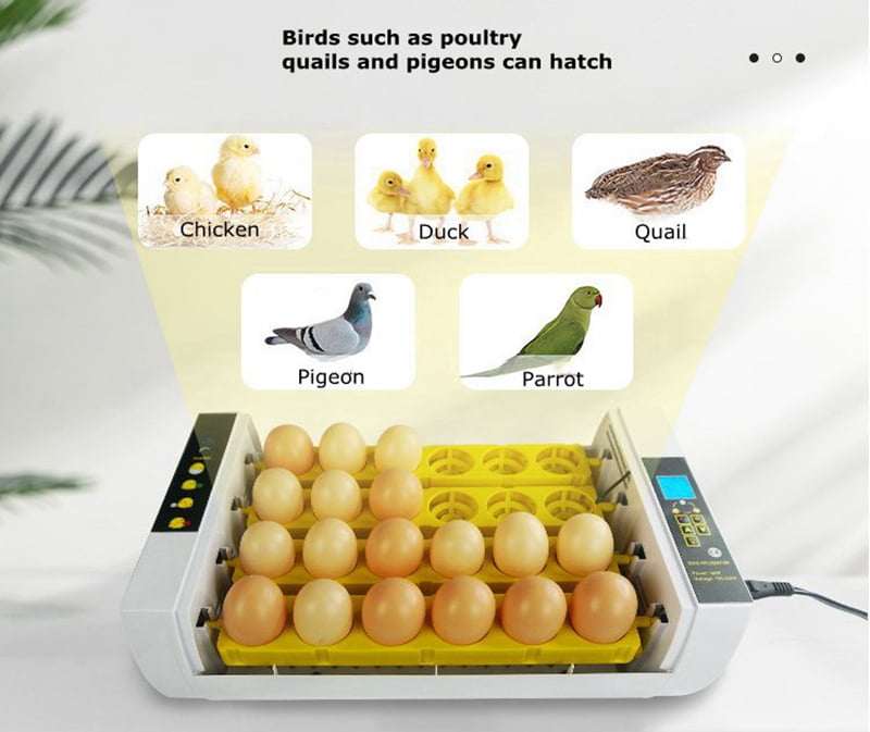 TECHTONGDA 24 Eggs Fully Automatic Egg Turning Egg Incubator Poultry ...