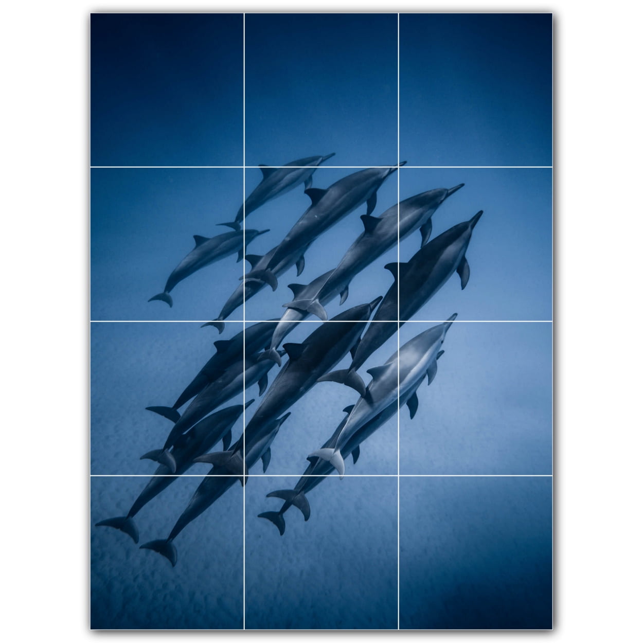 Picture-Tiles.com: Dolphin Ceramic Tile Wall Mural WAL500509-34XL. 36"W ...