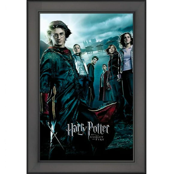 Harry Potter Picture Frames