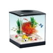 124Gal LED Aquarium Kit - Luxury Large Glass Fish Tank - Ideal for ...