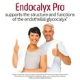 MYBODYRX Endocalyx Pro, Vascular Health Supplement, 120 Capsules ...