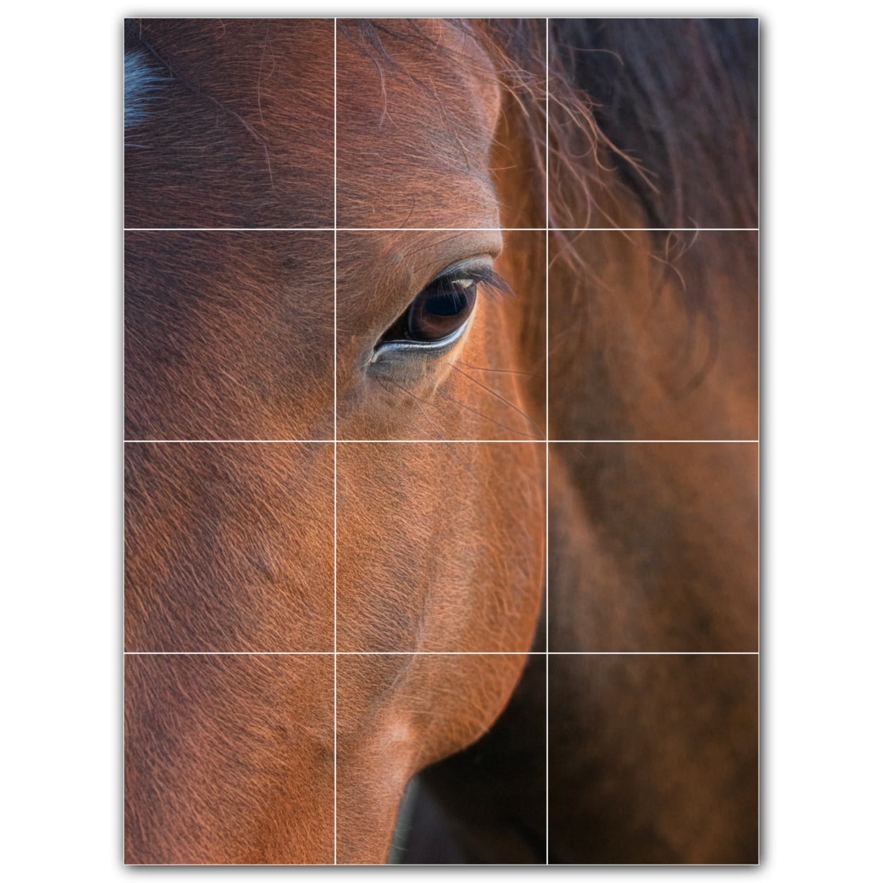 Picture-Tiles.com: Horse Ceramic Tile Wall Mural WAL500755-34M. 18"W x ...