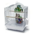BIRD STARTER KIT - Walmart.com