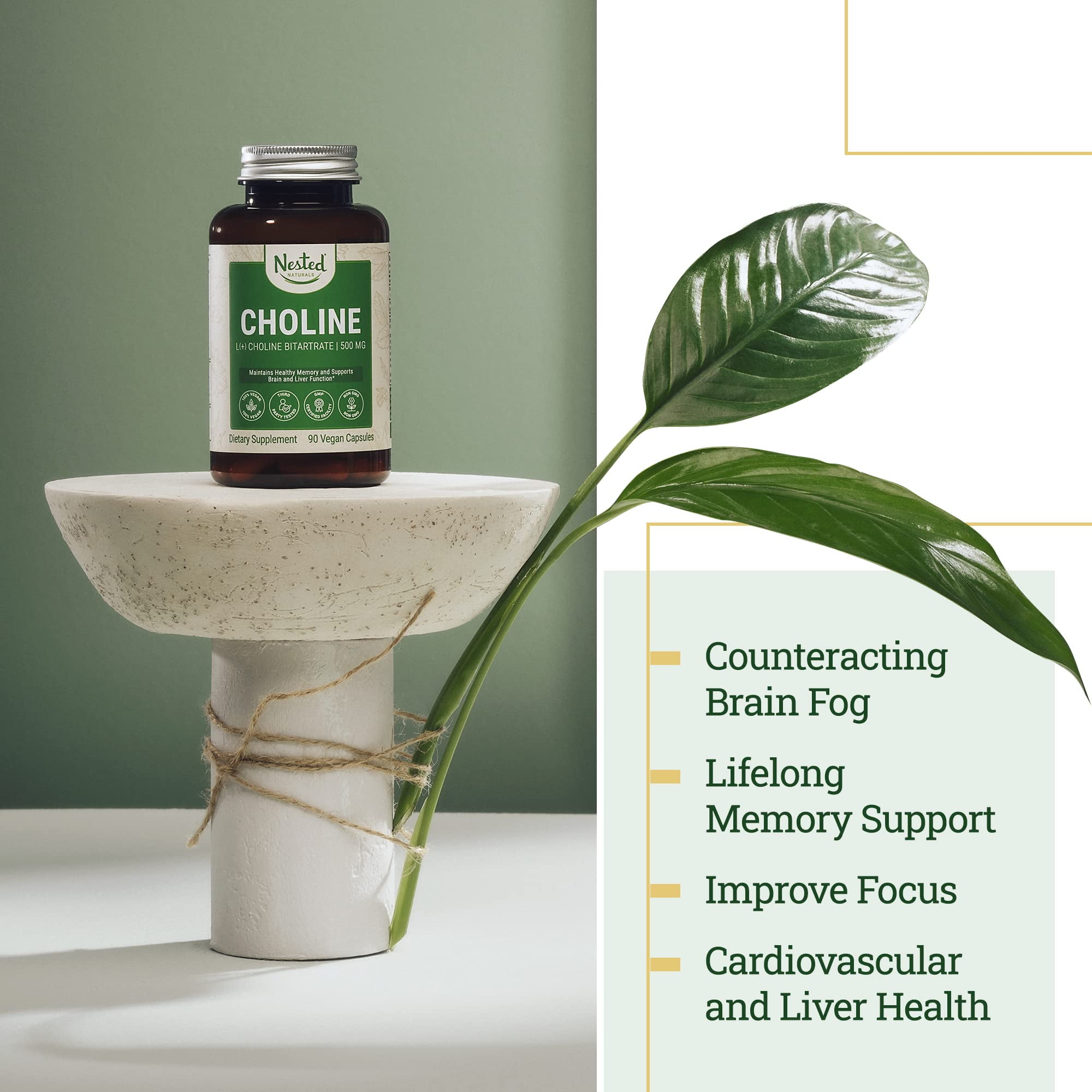 Buy Nested Naturals Choline Bitartrate 500 Mg Online at Lowest Price in Ubuy Nepal. 551108297