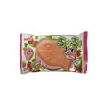 Meito Pukupuku Tai Taiyaki Chocolate and Strawberry Filled Fish Shaped ...