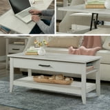 Sauder Summit Station Lift-Top Coffee Table with Shelf in Glacier Oak ...