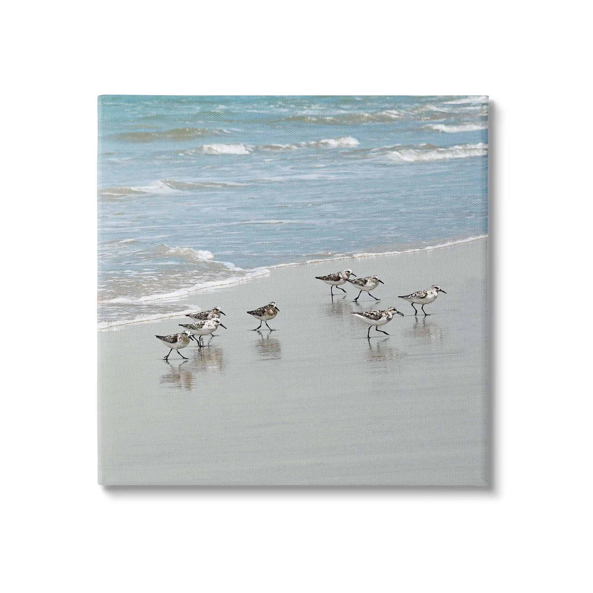 Stupell Industries Sandpipers Flock Sandy Beach Shore Coastal Painting ...