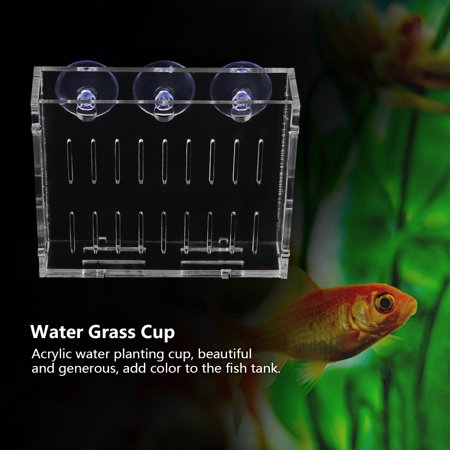 Ccdes Plants Cultivation Basin Cup, Water Grass Cup,Aquarium Plant ...