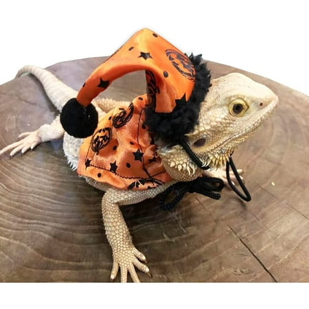 Bearded Dragon Costume, Lizard Wizard Hat with Scarf Set, Pet Head ...