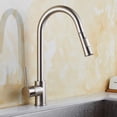 Single Handle Rotates 360 Compatible with Pull-Out Dual, Rinsing Spray ...