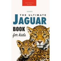Grandes Felinos (Big Cats): Los Leones (Lions) (Hardcover) - Walmart.com