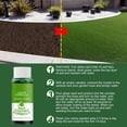 Green Grass Lawn Spray, Liquid Grass Seed Spray for Lawn, Liquid ...