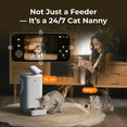 HHOLOVE Automatic Cat Feeder with Camera AI-Powered, 2k HD Video Night ...