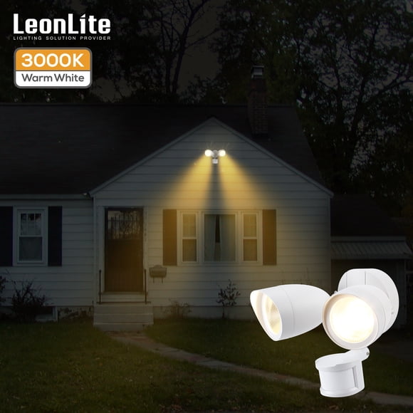 Dusk to Dawn Security Light
