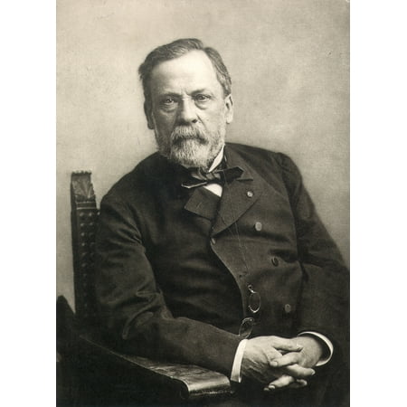 Louis Pasteur (1822-1895). /Nfrench Chemist And Microbiologist ...