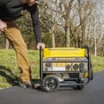 FIRMAN P03613 4550/3650 Watt Gas Portable Generator equipped with CO ...