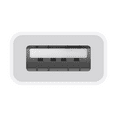 Apple USB-C to USB Adapter for iOS, iPadOS, and USB accessories connect ...