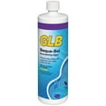 Free Shipping! GLB Sequa-Sol Sequestering Agent Pool Stain Preventer (6 ...